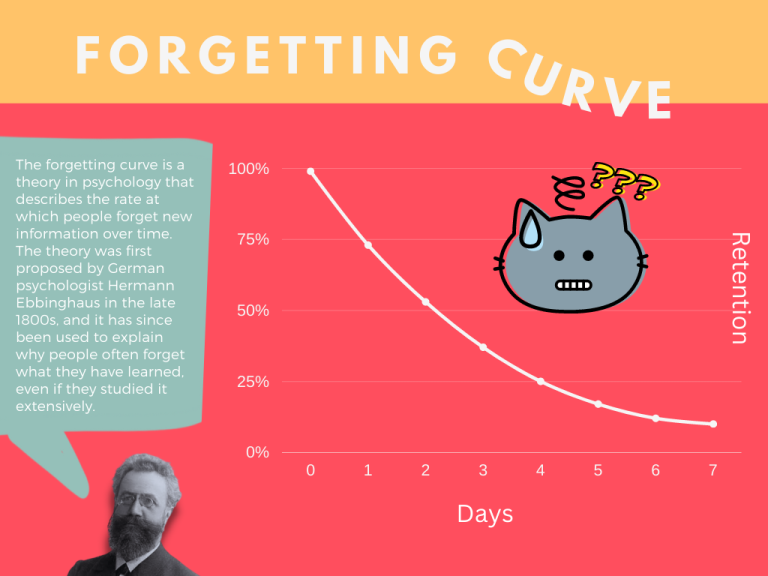 How to Use Anki to Master a New Language