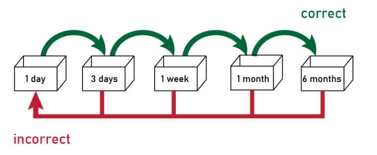How to Use Anki to Master a New Language